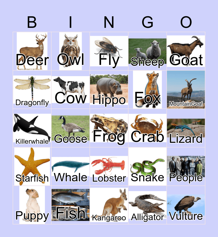 Animals Bingo Card