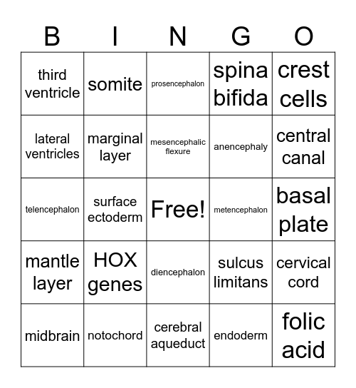 Development Bingo Card