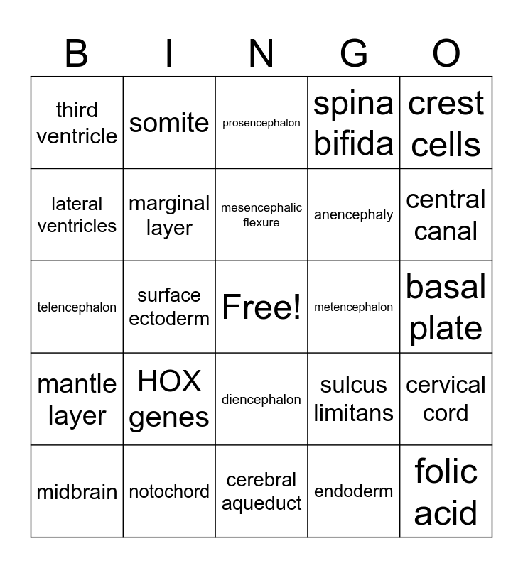 Development Bingo Card