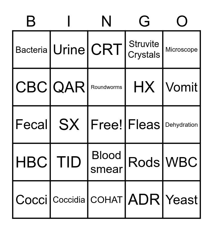 Vet Bingo Card