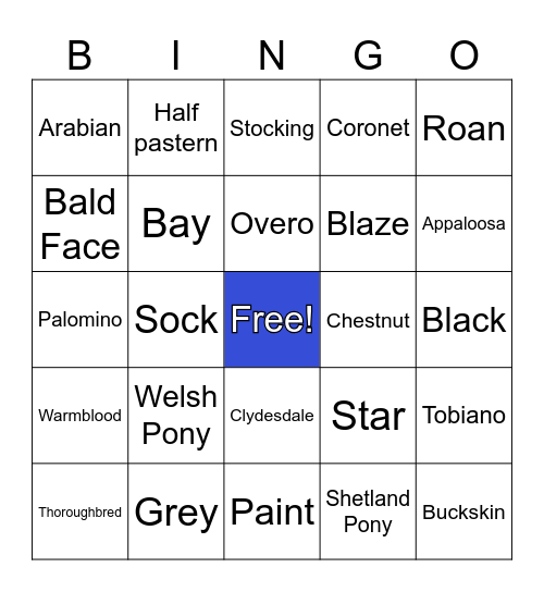 Horse Breeds, Colors, Markings Bingo Card