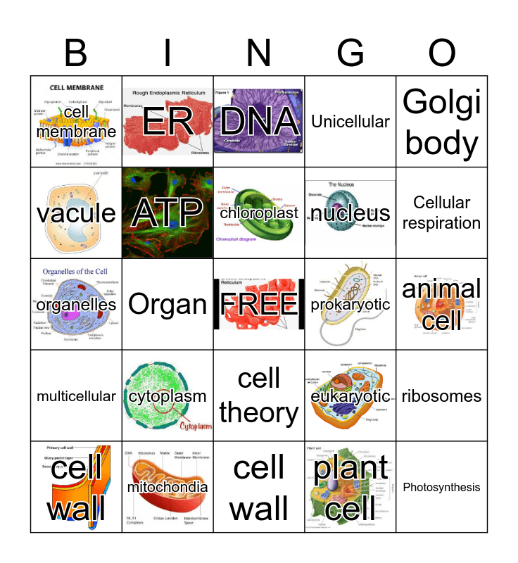 CELL BINGO Card