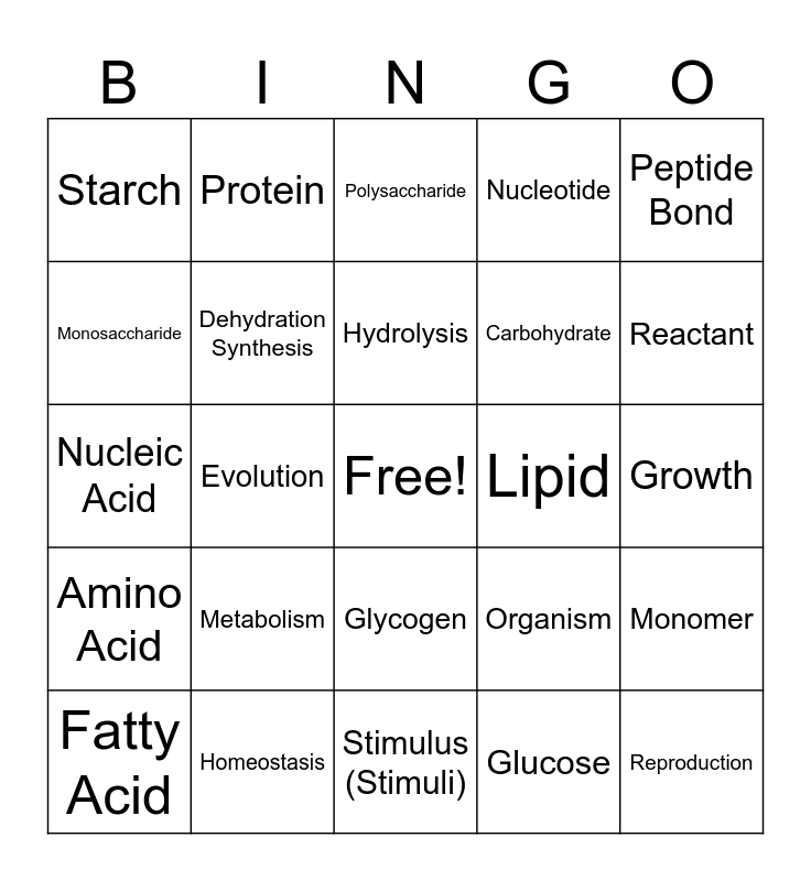 Amlung Unit 1 Vocabulary Review Biology Bingo Card