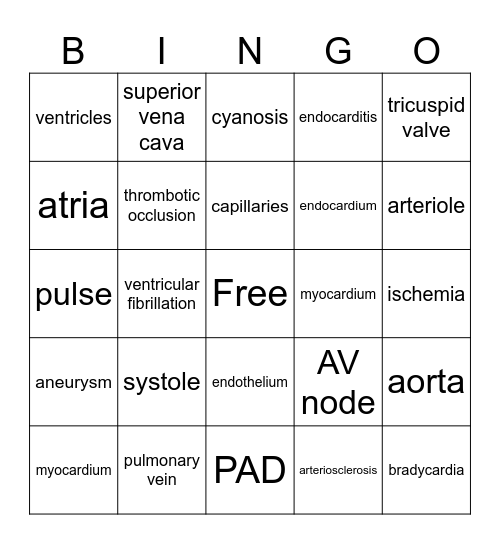 Cardiovascular System Bingo Card