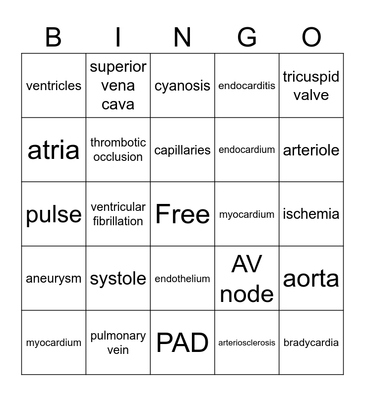 Cardiovascular System Bingo Card