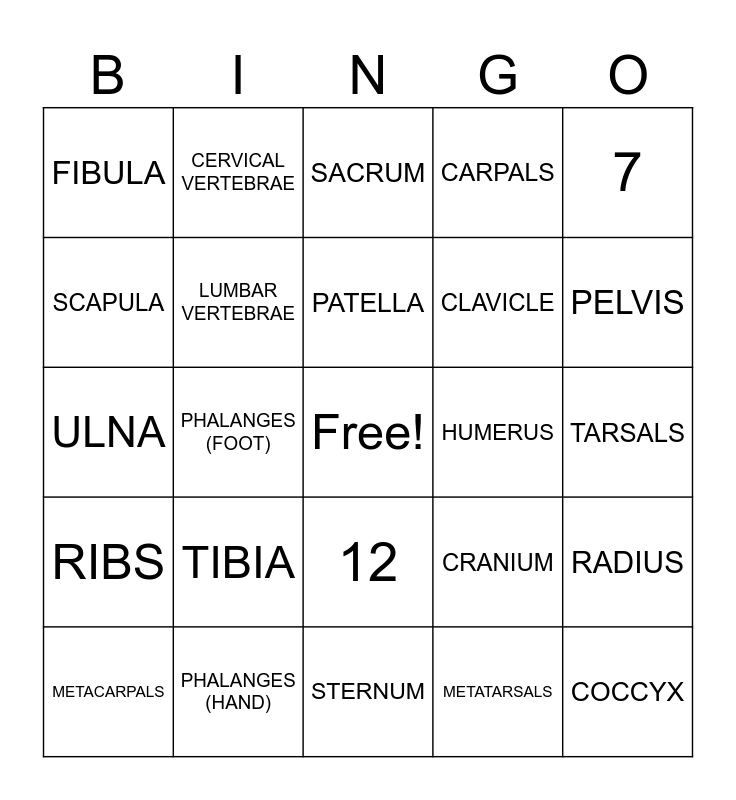 BONES BINGO! Bingo Card