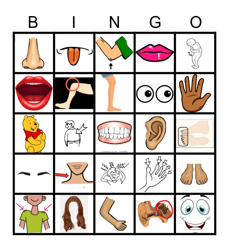 BODY PARTS Bingo Card