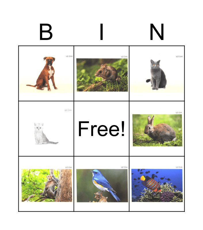 Unit 2 Chapter 4 Pets Bingo Card