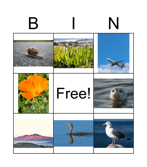 SF Bay Bingo Card
