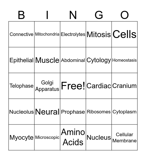 The Cell&Body Structure and Organization Bingo Card