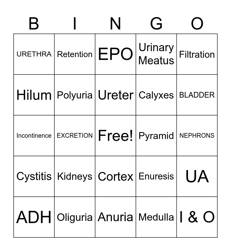 Urinary Bingo! Bingo Card