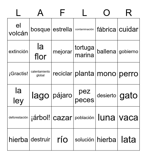 Medio Ambiente Bingo Card