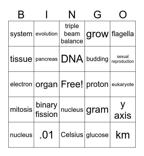 Introduction to Biology Measurement Bingo Card