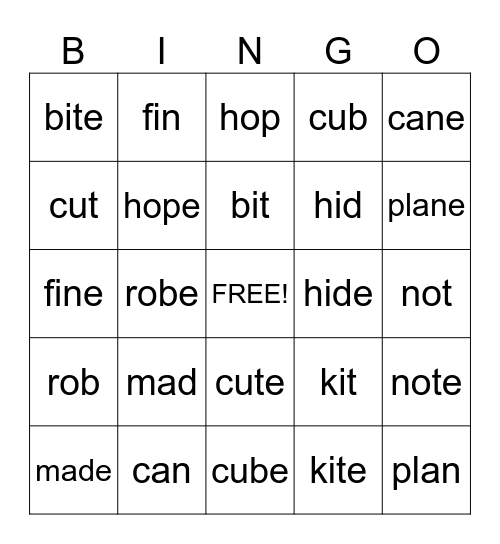 Silent E Bingo Card