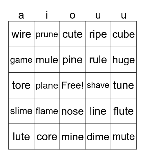 Long Vowel (Silent e) Bingo Card