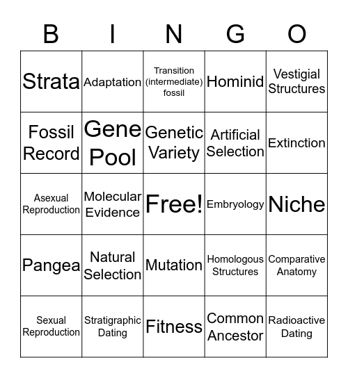 Evolution Vocabulary Bingo Card