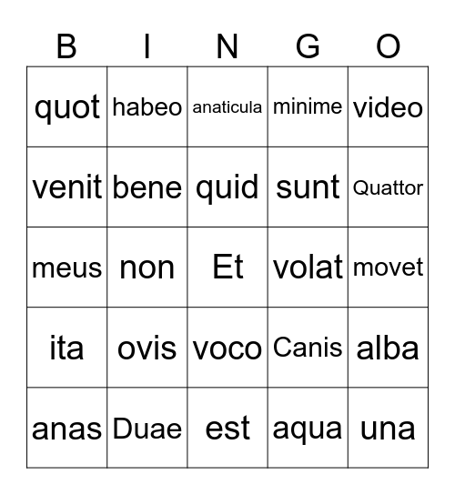 Vocabulary Review 3rd Grade Bingo Card