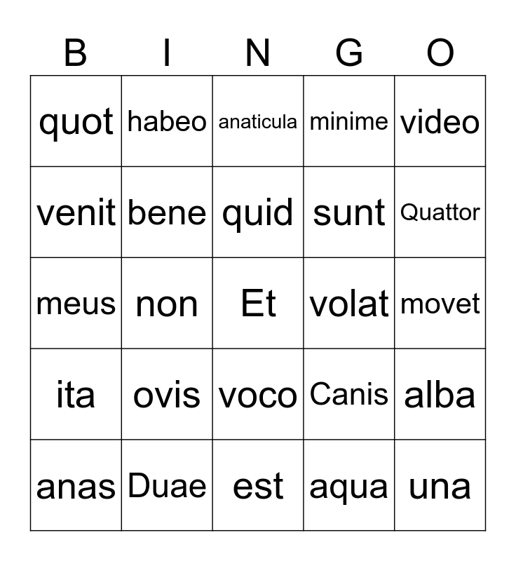 Vocabulary Review 3rd Grade Bingo Card