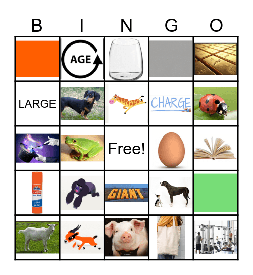 HARD & SOFT 'G' Bingo Card