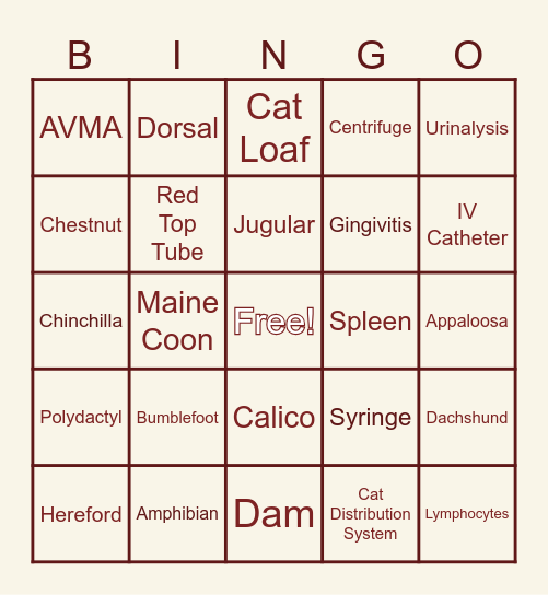 Vet Med Bingo Card