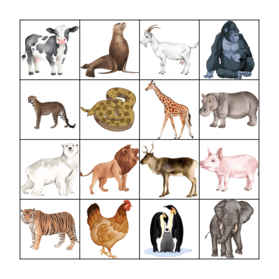 G1 unit3 animal bingo Card