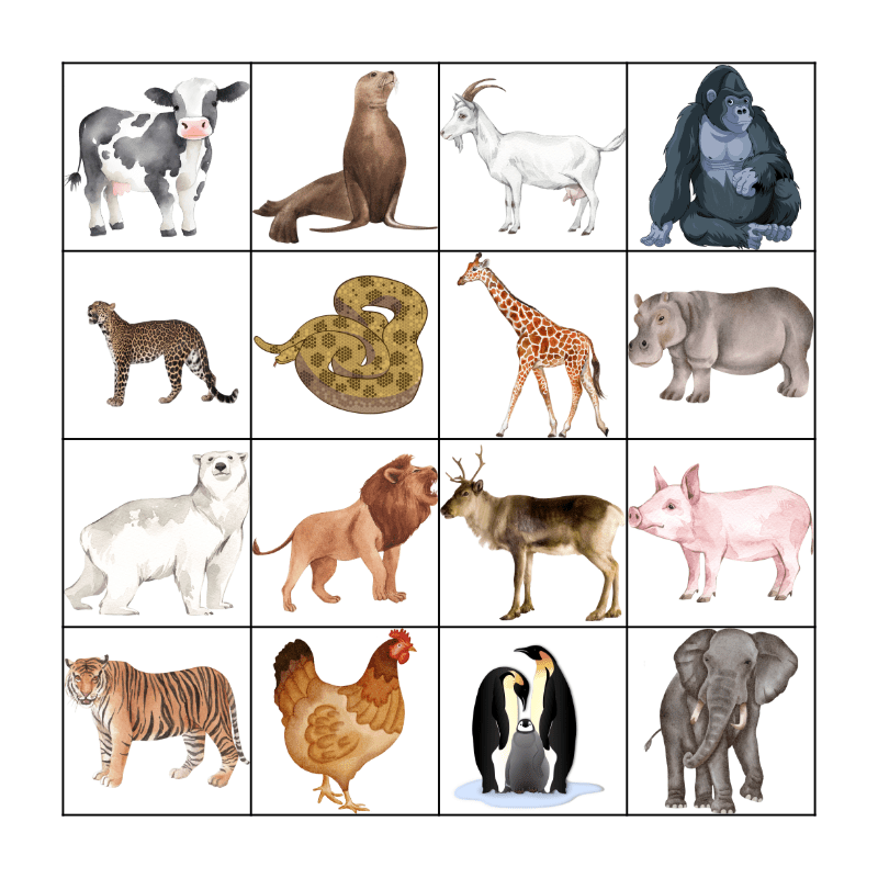 G1 unit3 animal bingo Card