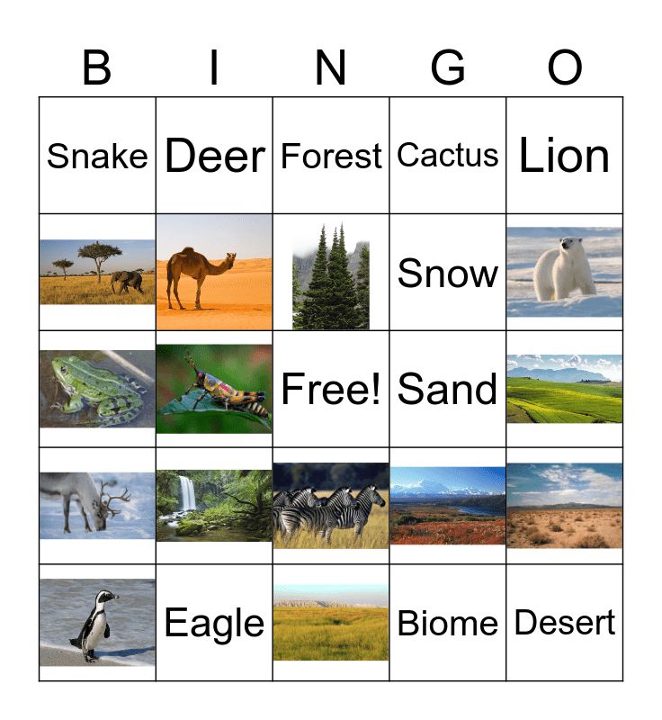 Biomes Bingo Card