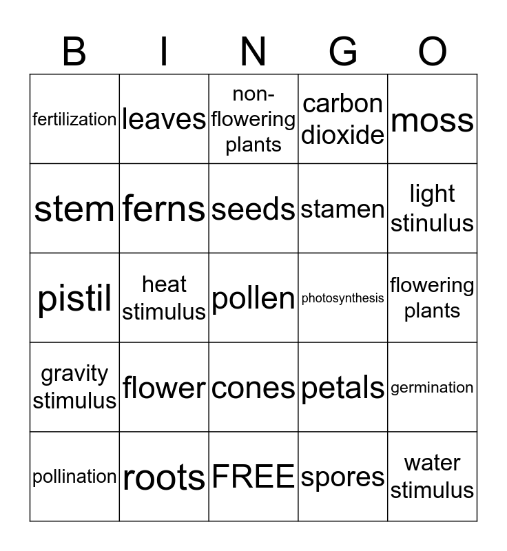 Plants Bingo Card