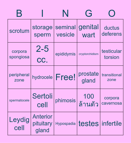 Male reproductive system Bingo Card