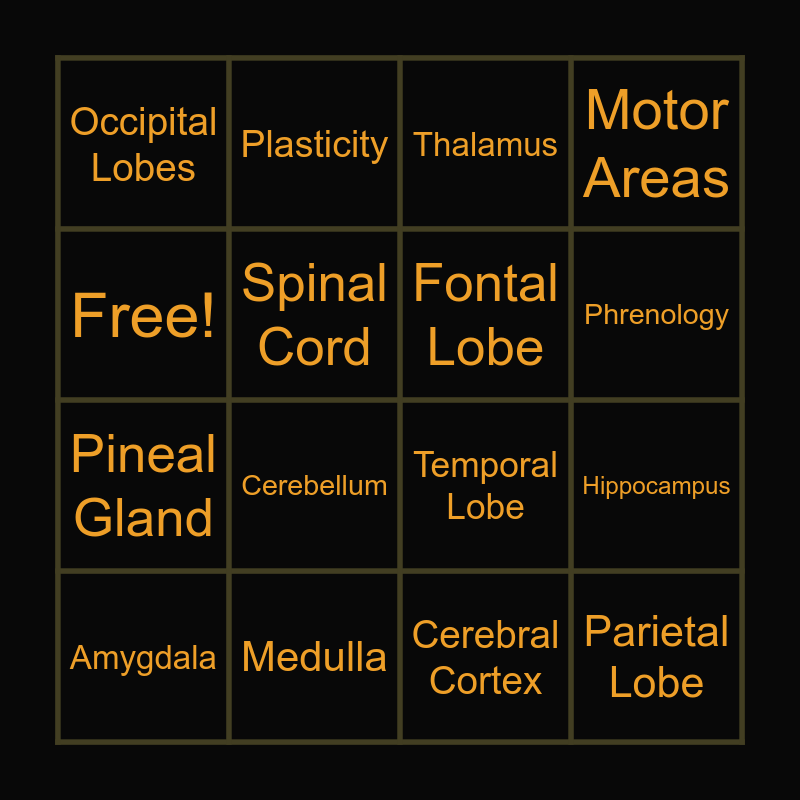 INSANE IN THE BRAIN Bingo Card