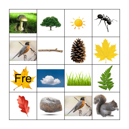 Nature Bingo Card