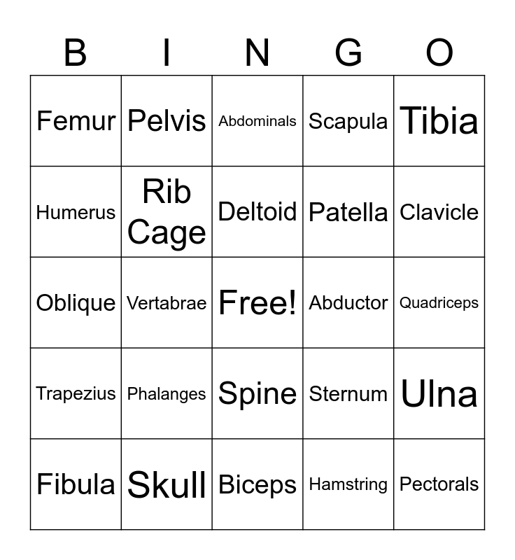 Bones and Muscles Bingo Card