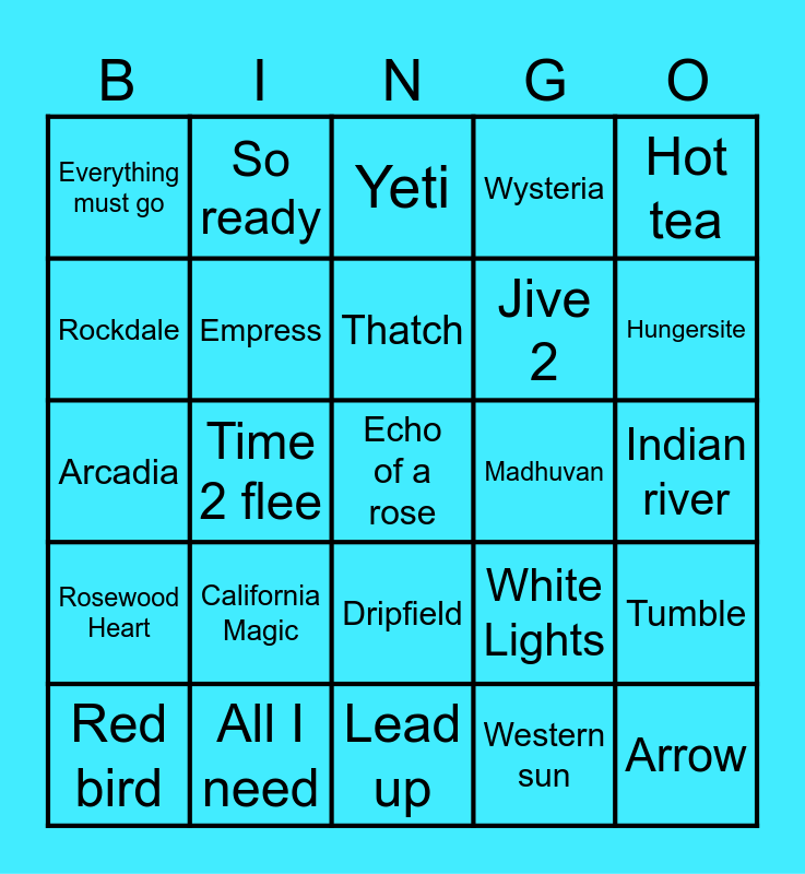 Euro-Goose N1 Bingo Card