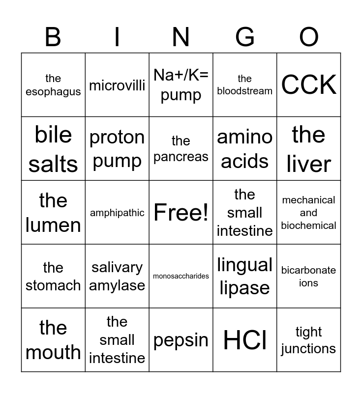 Digestion Bingo Card