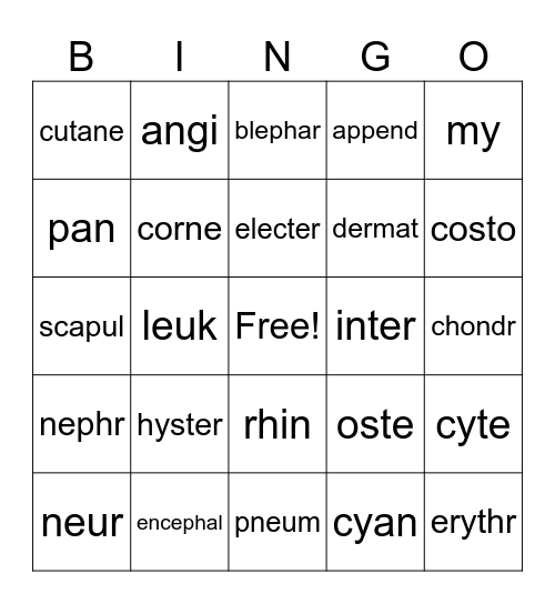 Root words Bingo Card