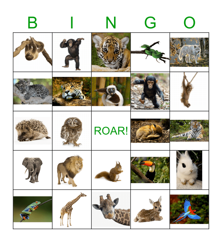 JUNGLE ANIMAL Bingo Card
