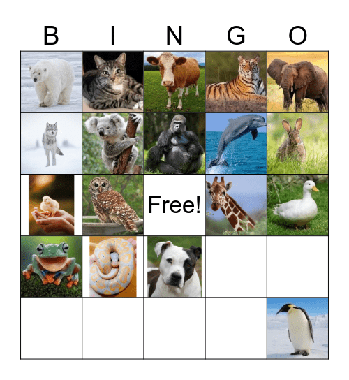Animal Bingo Card