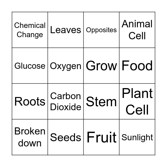 Photosynthesis and Cellular Respiration Bingo Card