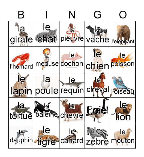 Les animaux Bingo Card