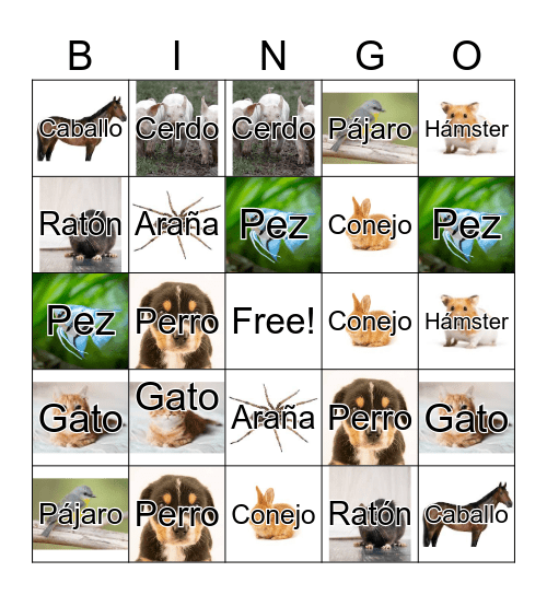 Los Animales Bingo Card