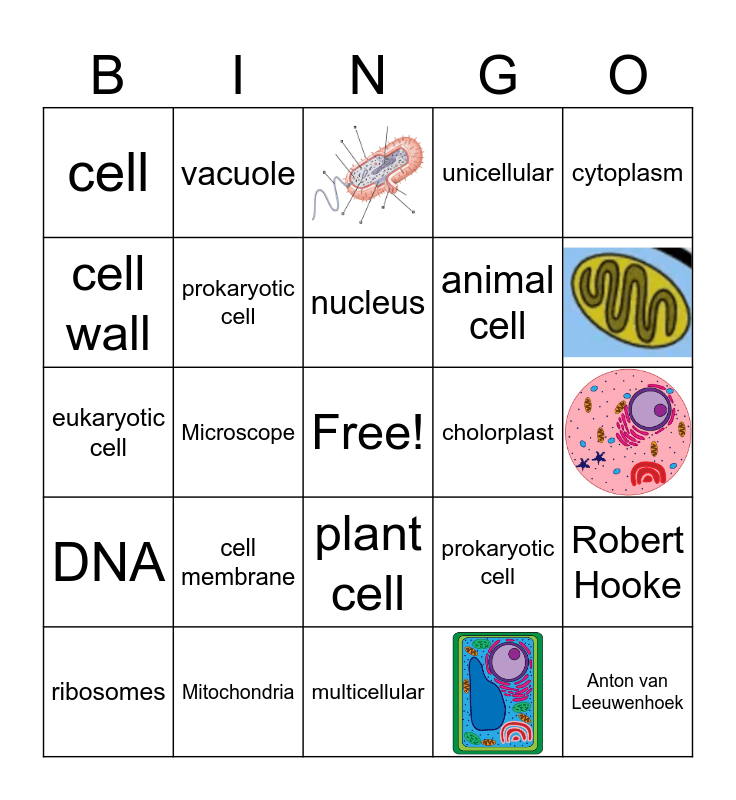 Cell Bingo Card