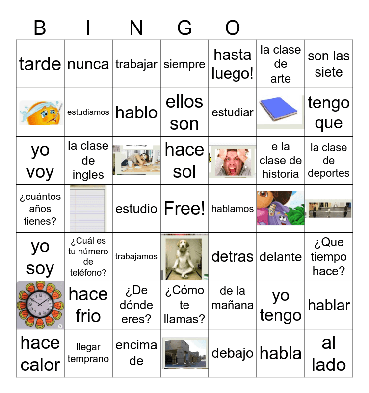 final exam study bingo Card