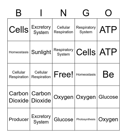 Unit 5 Bingo Card