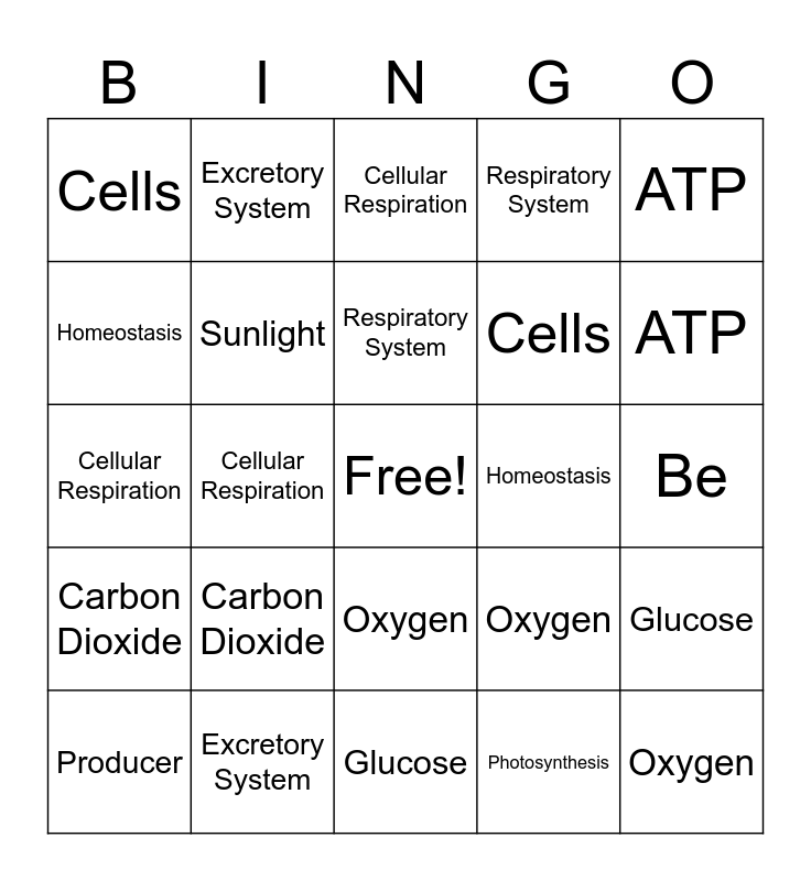 Unit 5 Bingo Card
