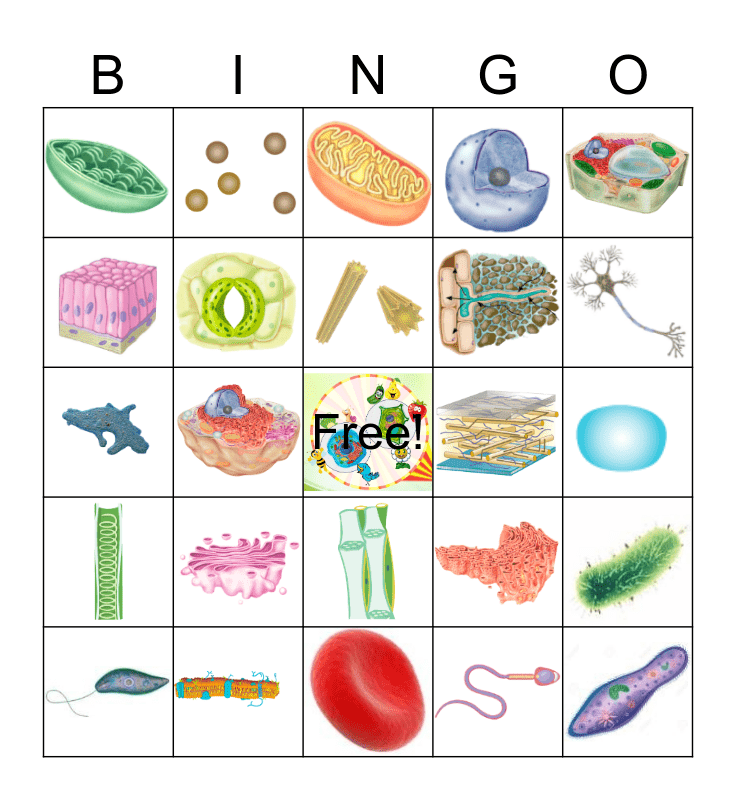 Cell Bingo Card