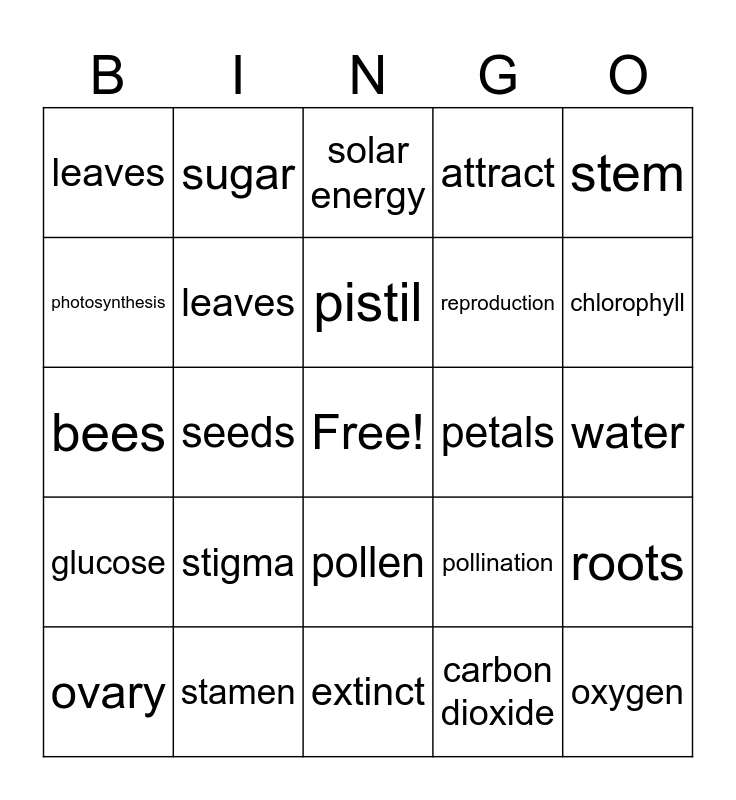 4.2 Plant and Animal Structure Bingo Card