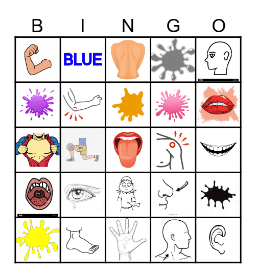 SDL - el cuerpo y los colores Bingo Card