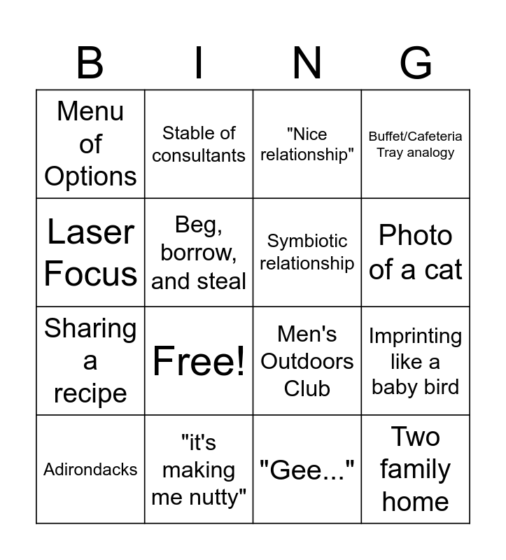 Steve Bingo Card