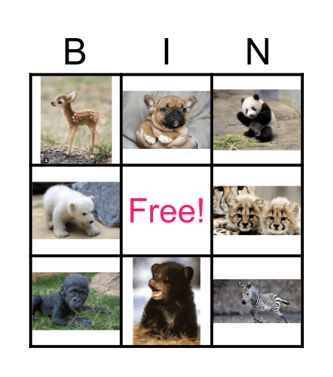 Baby Animals Bingo Card
