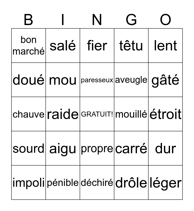 Breaking the French Barrier Vocabulaire Leçons 1-3 Bingo Card